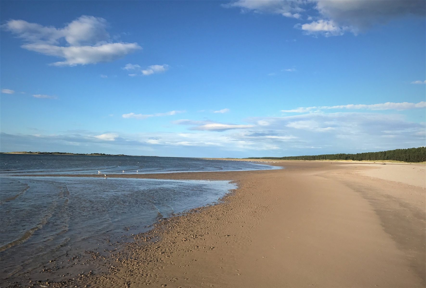 Beaches - Inverness House Bed and Breakfast