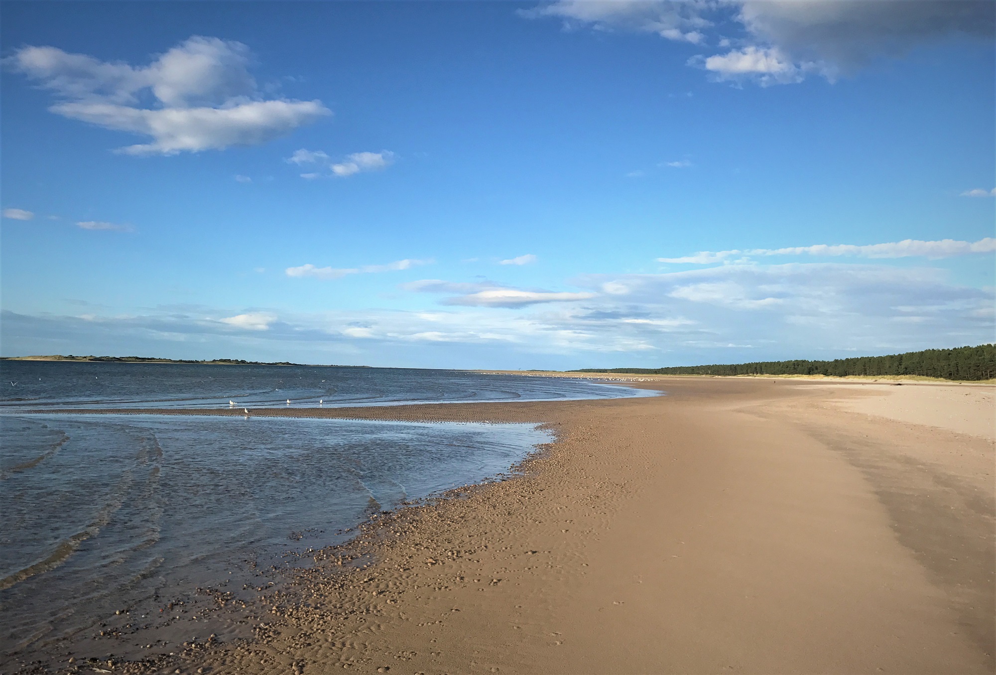 Beaches - Inverness House Bed and Breakfast